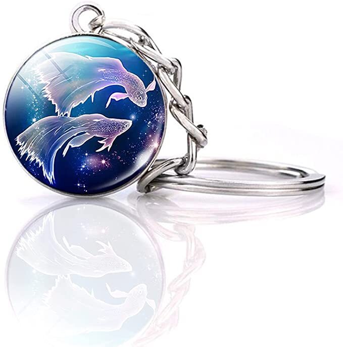 Fiskarna Zodiac lysande kristallkula nyckelring - Elgiganten - Elgiganten
