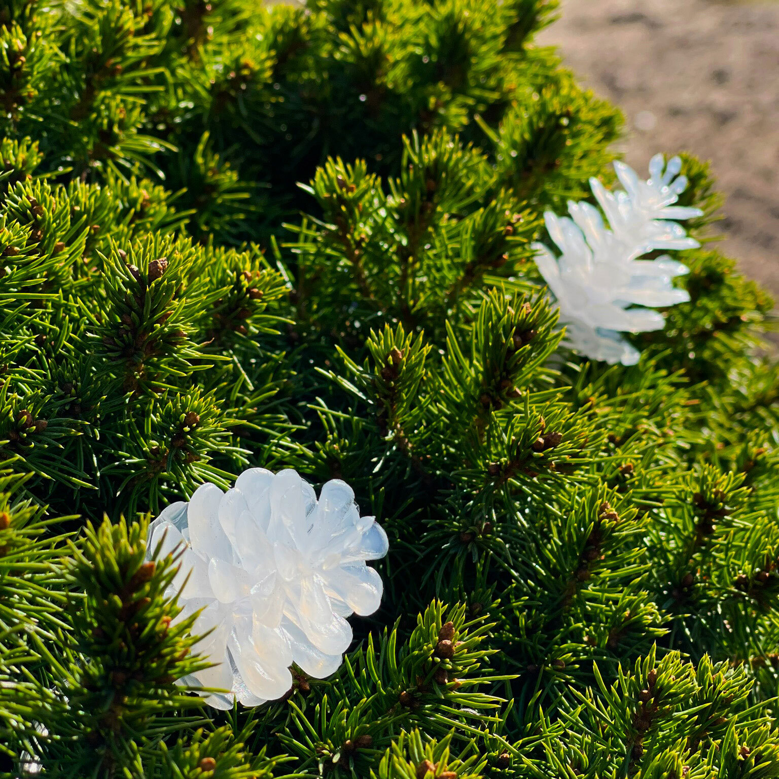LightsOn Mänty 10m valosarja valkoisia irisoivia käpyjä - Gigantti verkkokauppa