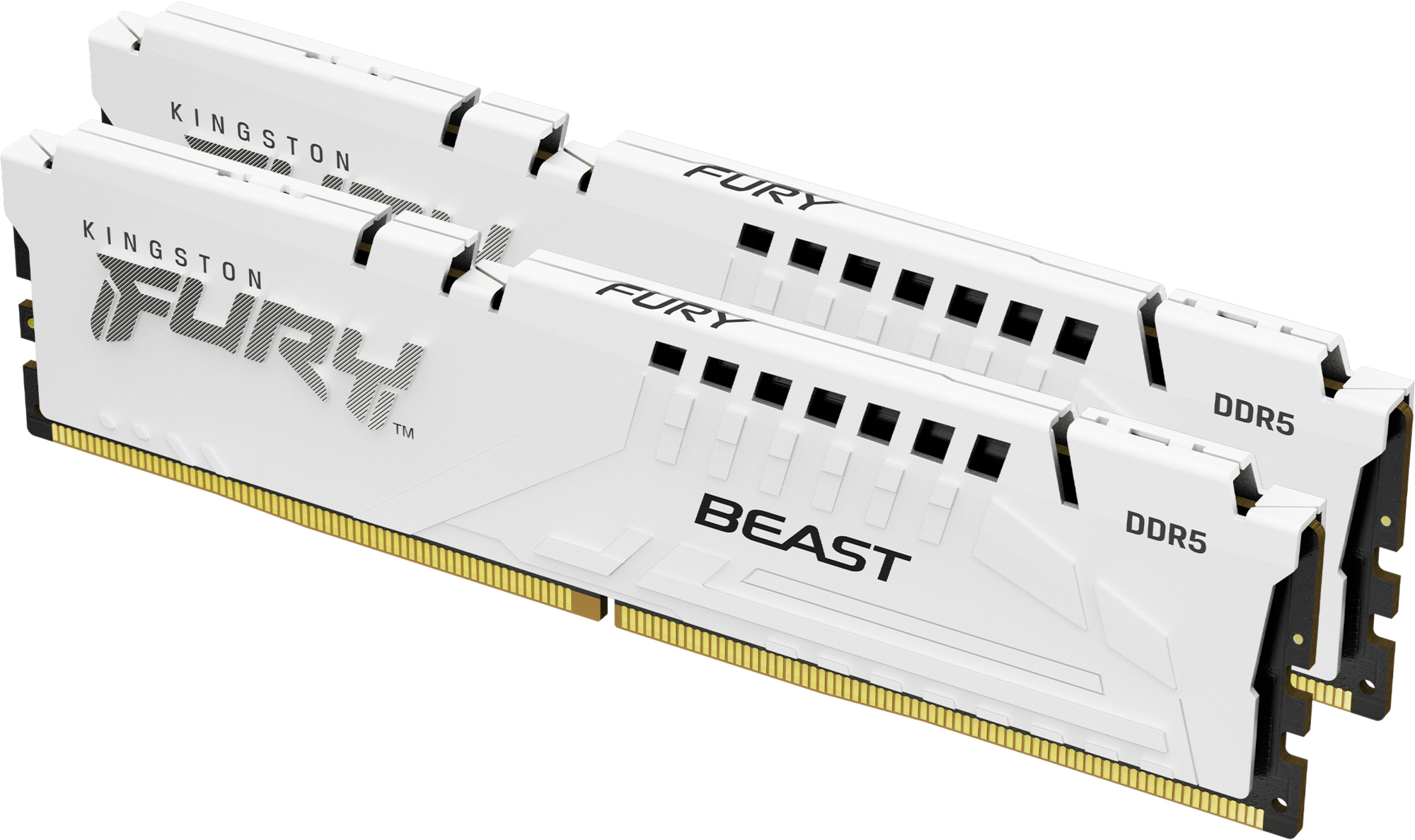 Kingston FURY Beast RGB 32GB DDR5 RAM 6000MT/s CL36 (hvid) | Elgiganten | Elgiganten