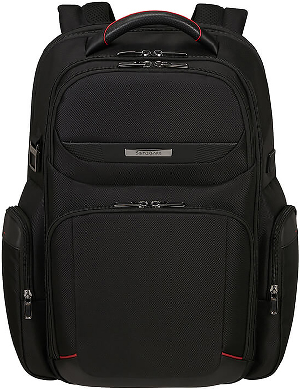 Samsonite Backpack PRO DLX6 17,3" Expand datorryggsäck (svart ...